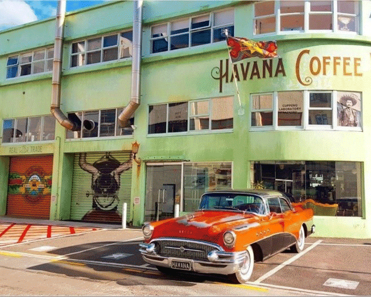 About Us | Havana Coffee NZ