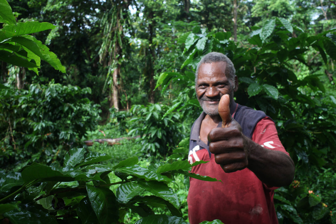 About Us | Havana Coffee NZ